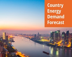 Previsión de la demanda de energía por país | Enerdata